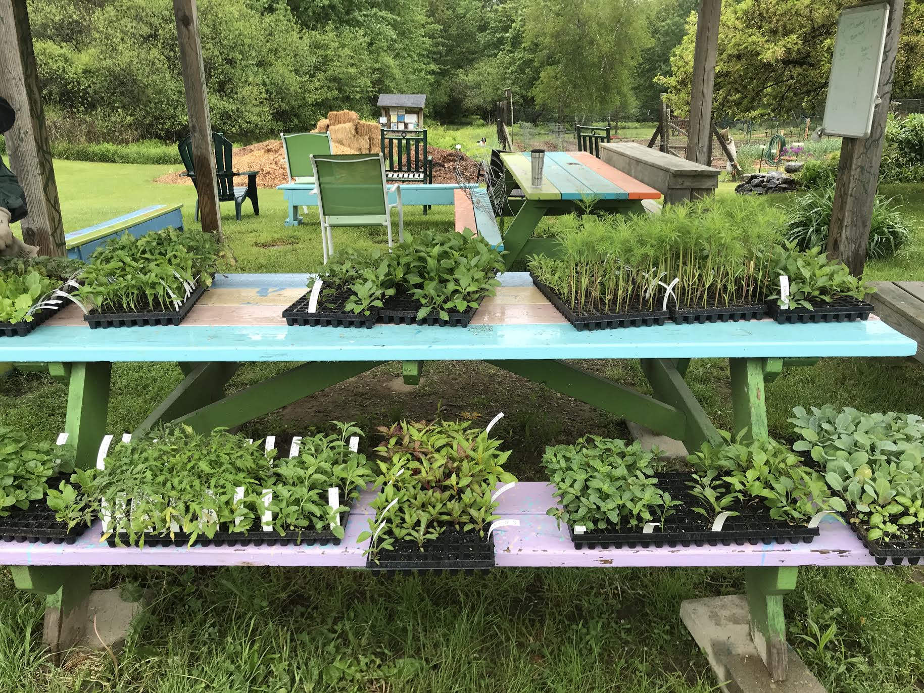 News – Yarmouth Community Garden